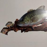 Walleye Replica 30 Inch 2D Metal Walleye Fish Art Replica, Faux ...