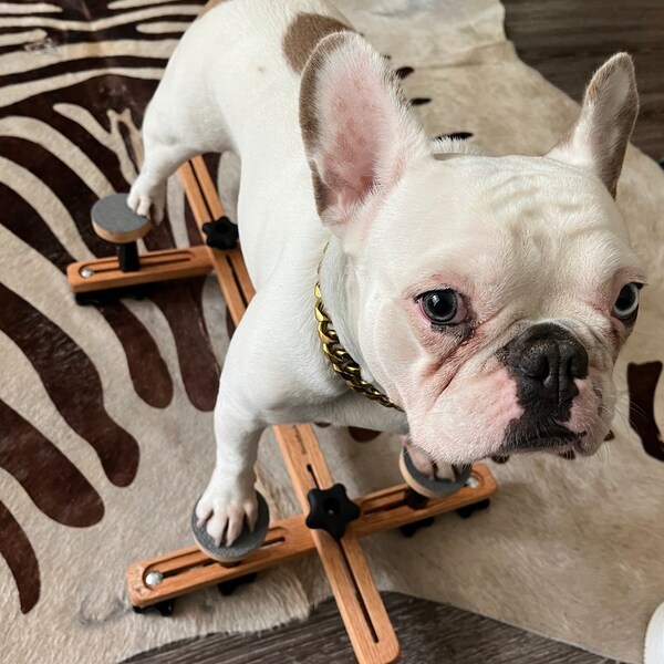 Stackrack Medium - Elevated Show Dog Stand - Etsy