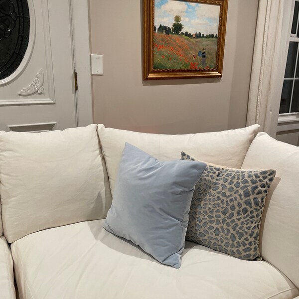 Light Blue Velvet-front and Back- Covers - Etsy