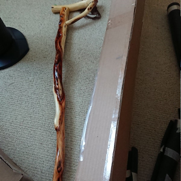 Walking Stick With Handle, Diamond Willow Wood, Rope Hand Grip N ...