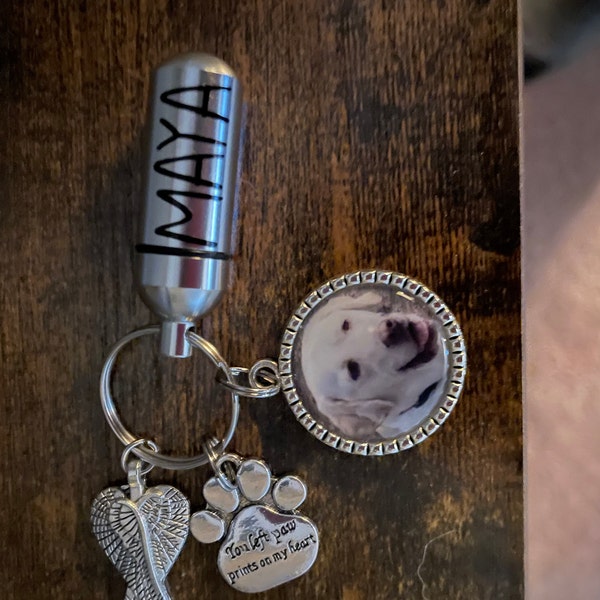 Pet Cremation Key Chain Photo Memorial Key Ring Pet Hair Key Ring for ...