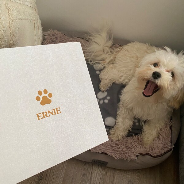 A Court of Mist and Fury Special Edition Book, ACOMAF Exclusive Rebound ...