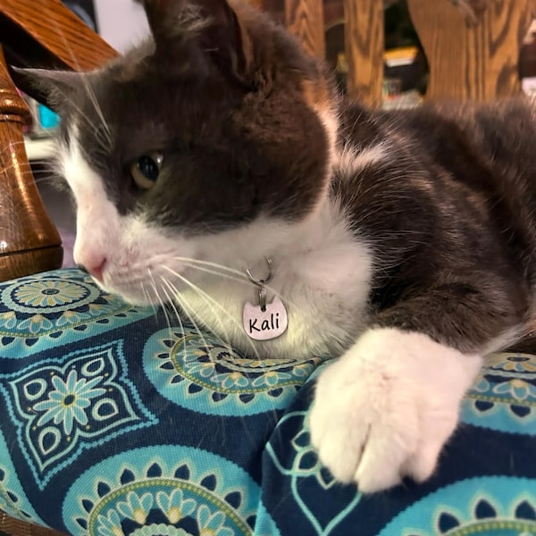 Cat Tag Personalized, Custom Cat Tag, Cat Name Tag Small, Cat ID Tag ...