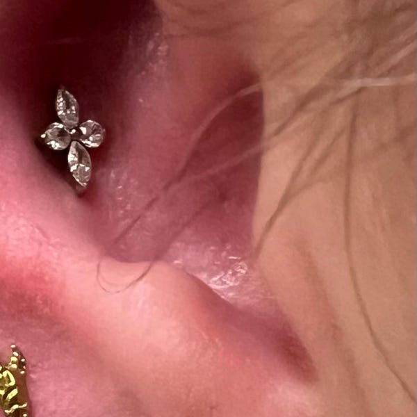 ASTM F136 Titanium Conch Hoop, Four Layer Stacked Conch Earring, Gold ...