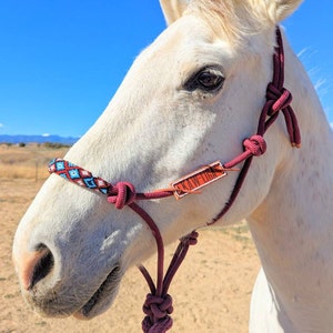 Sparkle Gambler Halter Horse Mule Tape Halter With Bronc Nose Band ...
