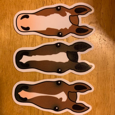 Custom Horse Sticker, Horse Stickers, Gift for Equestrian, Horse Gifts ...