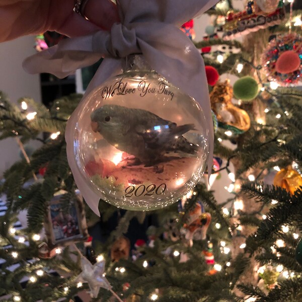 Our First Christmas Photo Ornament Globe, Round Glass Ornament With ...