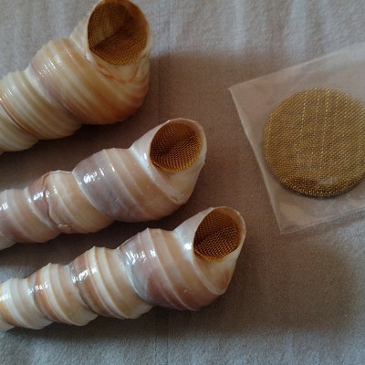 The Purple Nurple by Shellpipe free Pipes With Every Order Shell Pipe ...