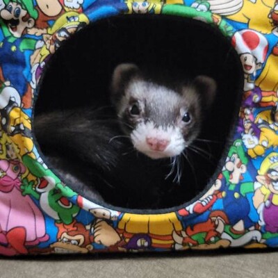 Large Fleece Coffin Bed, Drac Inspired Design, Halloween Pet Bed, Cat ...