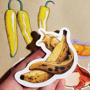 Banana Slug Sticker - Etsy