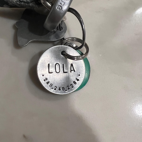 Custom Dog Tag / Custom Pet ID Tag - Lucy - in 1.25'' Domed Bronze ...