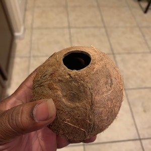 Whole Coconut Shell Emptied Out - Etsy