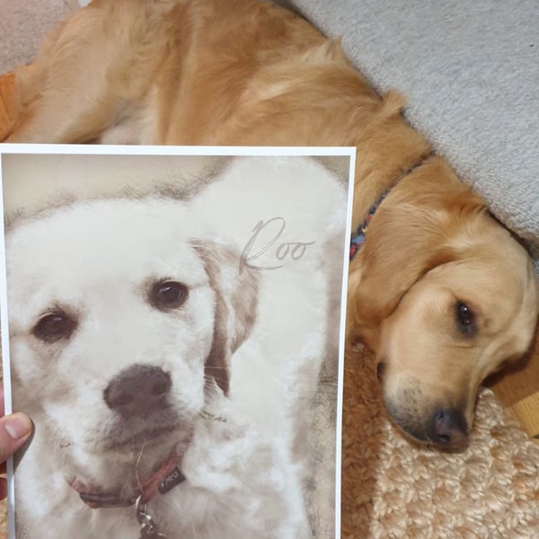 Editable Chores Schedule | Printable | Weekly, Rota Checklist ...