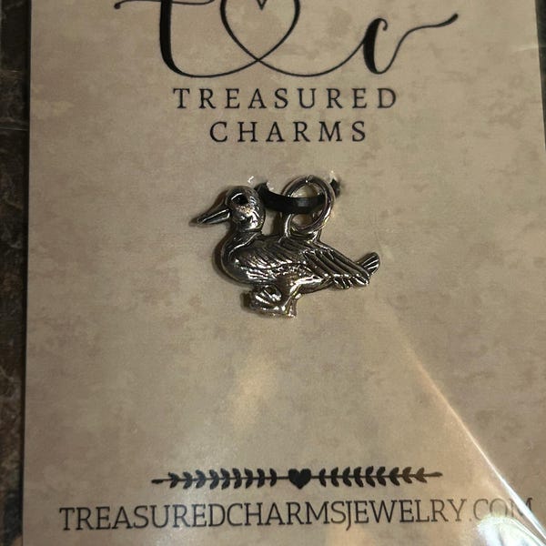 Human Heart Necklace, Silver Realistic Human Heart Charm on a Silver ...