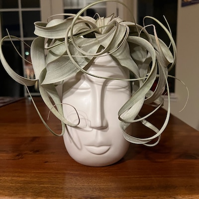 Man Face Ceramic Vase, Olmec Statue Flower Pot, Human Head Planter Home ...