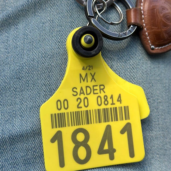 Virgen De Guadalupe Keychains - Etsy