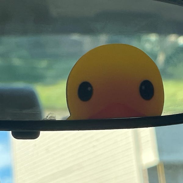 Duck Peeker Rear View Mirror/sun Visor Decal - Etsy