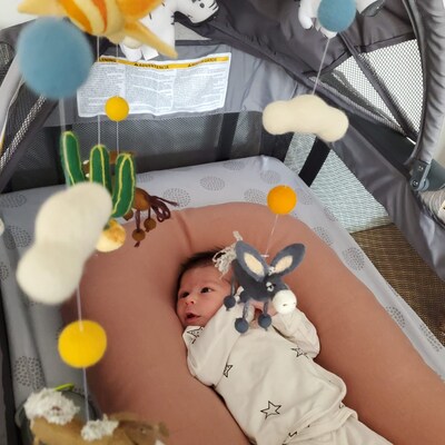 Needle Felted Baby Mobile Donkey Baby Mobile Western Baby - Etsy