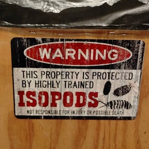 The Hideout Funny Kid Treehouse Sign Kids Fort Sign Play - Etsy