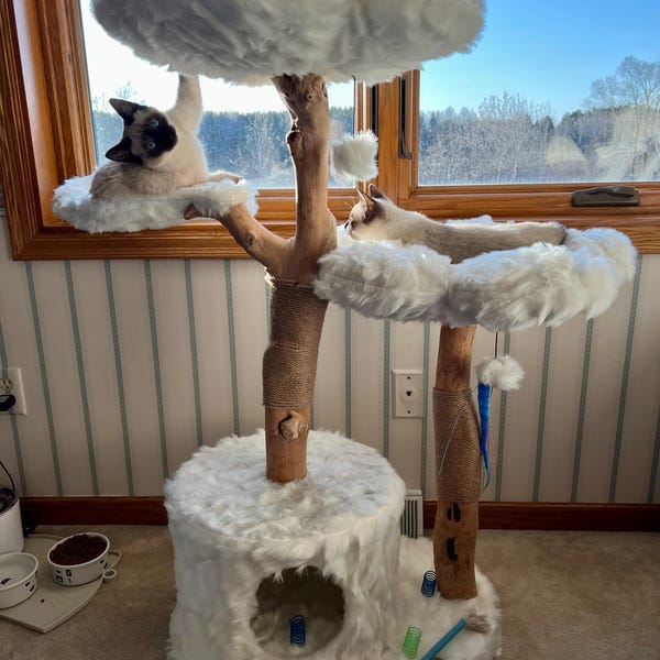 HEXAFLORA Wood Cat Tree Tower, Wooden Cat Tower, Modern Cat Climbing ...
