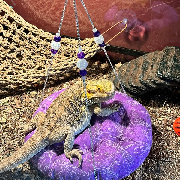Bearded Dragon Lizard Pillow Swing; Papasan Style, Multiple Sizes ...