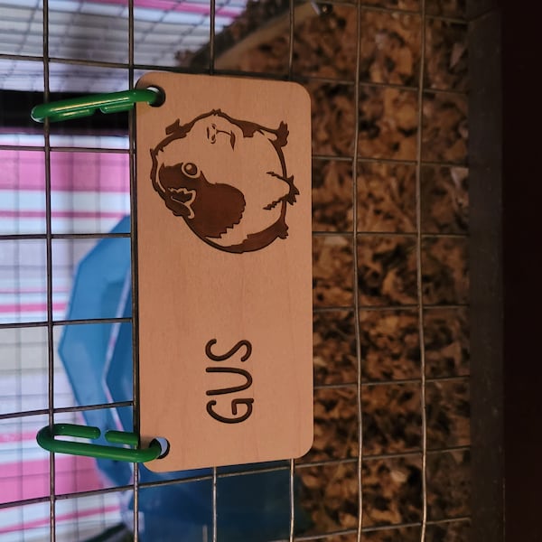 Guinea Pig Name Sign, Guinea Pig Name Tag, Guinea Pig Cage Sign, Guinea ...