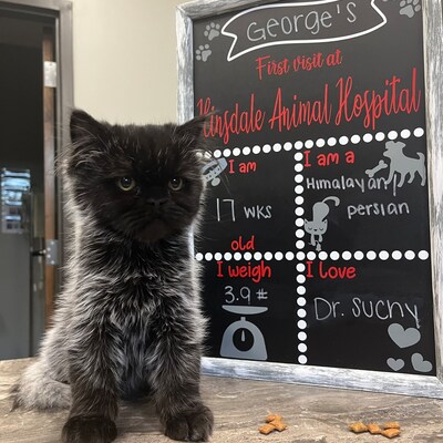 Veterinary First Visit Chalkboard Vet Visit Chalkboard Pets First Visit ...