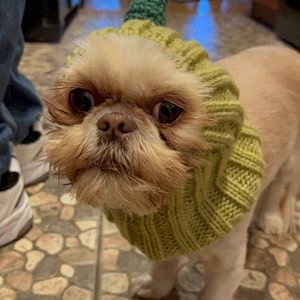 Monkey Dog Snood Knit Crochet Dog Hat Halloween Dog | Etsy