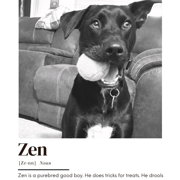 Custom Pet Poster, Personalized Dictionary Description, Pet Portrait ...