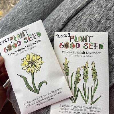 Red Callaloo Amaranth Seeds 600: Certified Organic, Non-gmo, Heirloom ...