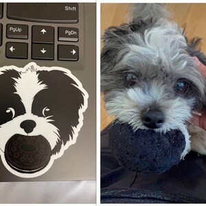 Jindo Monstera Vinyl Sticker Jindo Sticker Monstera | Etsy