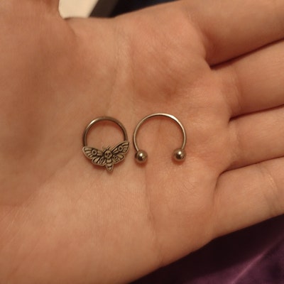 Skull Moth Ring for Septum & Daith Piercings, Death's Head Moth Captive ...