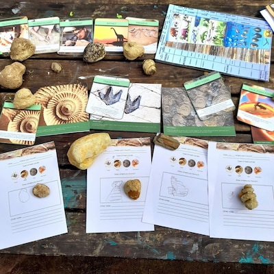 Nature COLOUR Wheel Nature COLOR Wheel Nature Play Printable Nature ...