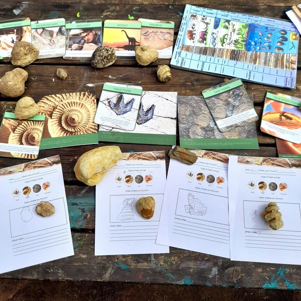 CLOUD PRINTABLES for Kids | Cloud Flash Cards | Cloud Posters | Cloud ...