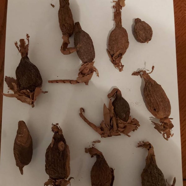 Ofada Stew( Ayamase Sauce)designer Stew . - Etsy