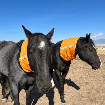 Mini Donkey Fly Mask - Etsy