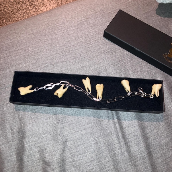 Aged Human Teeth in a Box - Curiosities - Weird Creepy Stuff - Etsy
