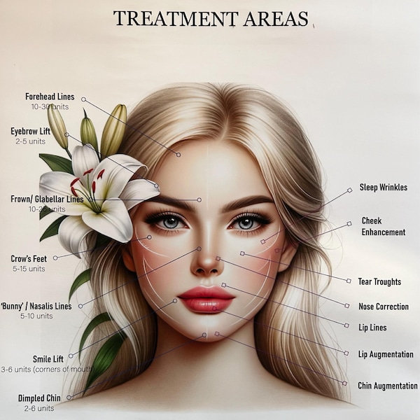 Hair Growth Cycle, Huid Anatomie, Skin Anatomy, Skin Graphic, Anatomy ...