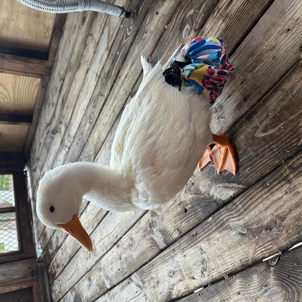 High Quality ORIGINAL - Duck Chicken Goose Diaper Harness - Adjustable ...
