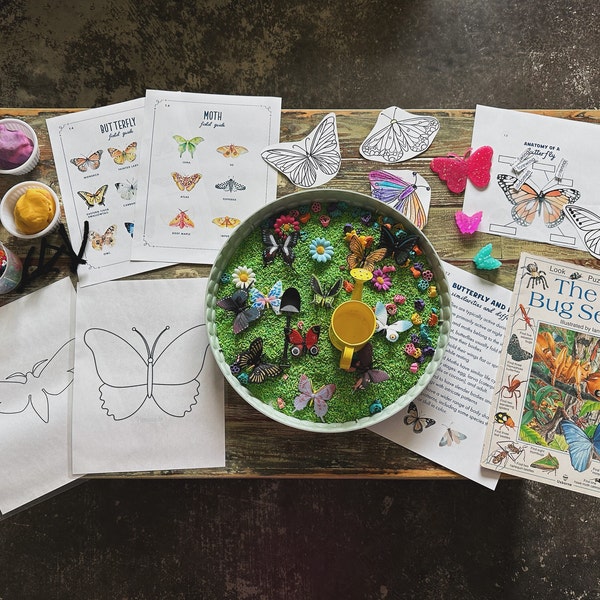 Butterfly and Moth Unit Study, Homeschool Unit Studies, Homeschool ...