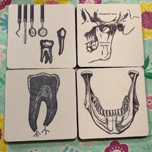 Dentist Dental Hygienist Drink Coasters Gift Set Teeth Jaw Orthodontist ...