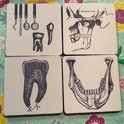 Dentist Dental Hygienist Drink Coasters Gift Set Teeth Jaw Orthodontist ...