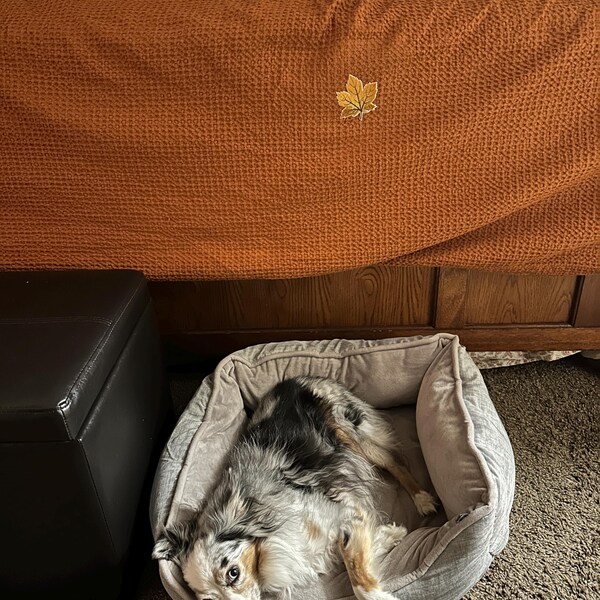 Realistic Mars Iron-on Patch – Sublimation Planet Patch – 4 Inch Space ...