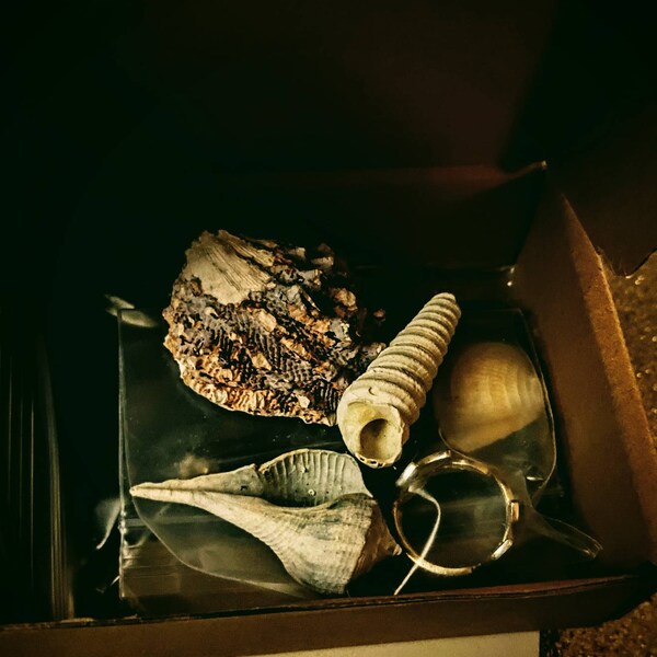 Filigrana De Colombia 925 Silver Traditional Dangle Earrings - Etsy