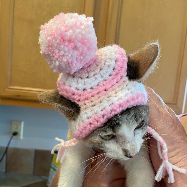 Hat for Cats, Toboggan Cat Hat, Beanie for Cats & Kittens, Cat Stocking ...