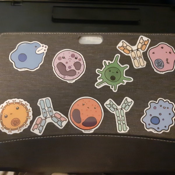 Cute Antibodies and Immune Cells Sticker Set - Etsy