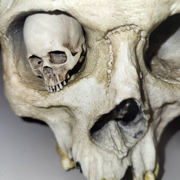 Alien Xenomorph Bust Wall Art, Alien Head Xenomorph Wall Hanging, Alien ...