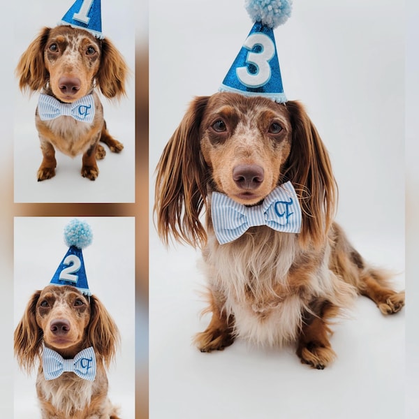 1st Birthday Hat- Boy First Birthday Hat - Mini Blue Party Hat - Boy ...