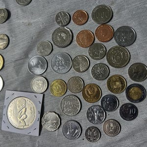 30 Unique Animal-themed Coins in a Pouchchoose Your Set A, B, C, or ...