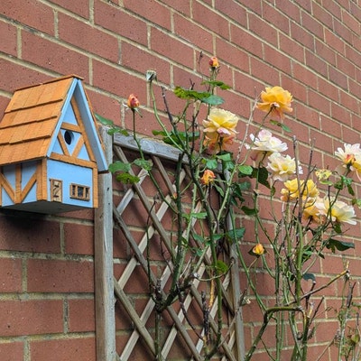 Quirky Cottage Bird House Bird Box Handmade Wooden Fairy Gift Garden ...